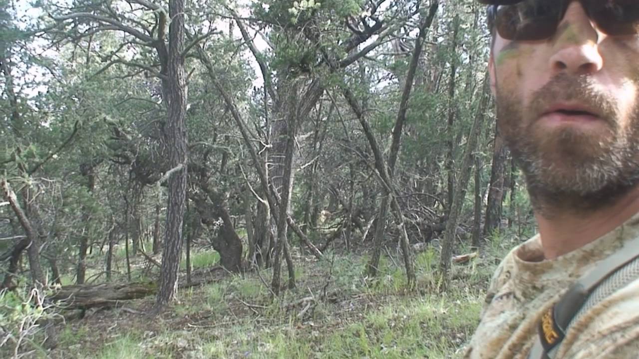 2016 New Mexico 7x8 Archery Bull Elk Guided by Matt Gilstrap - YouTube
