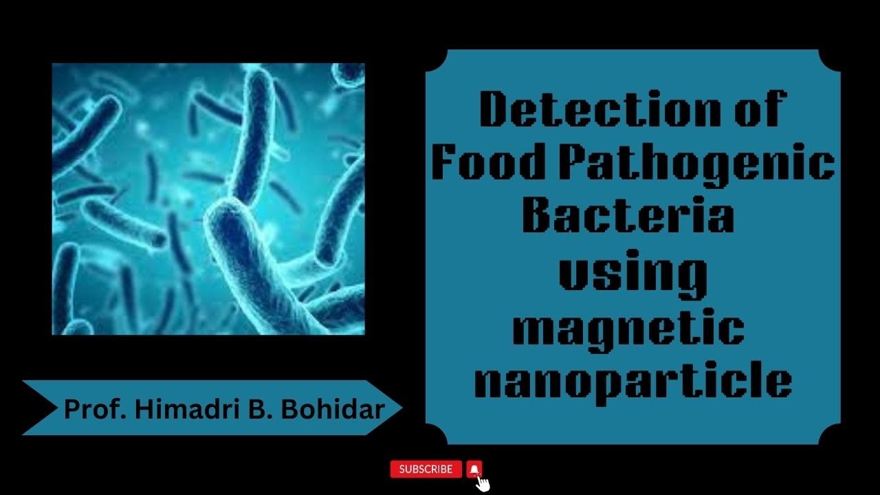 Detection of Food Pathogenic bacteria using Magnetic nanoparticles ...
