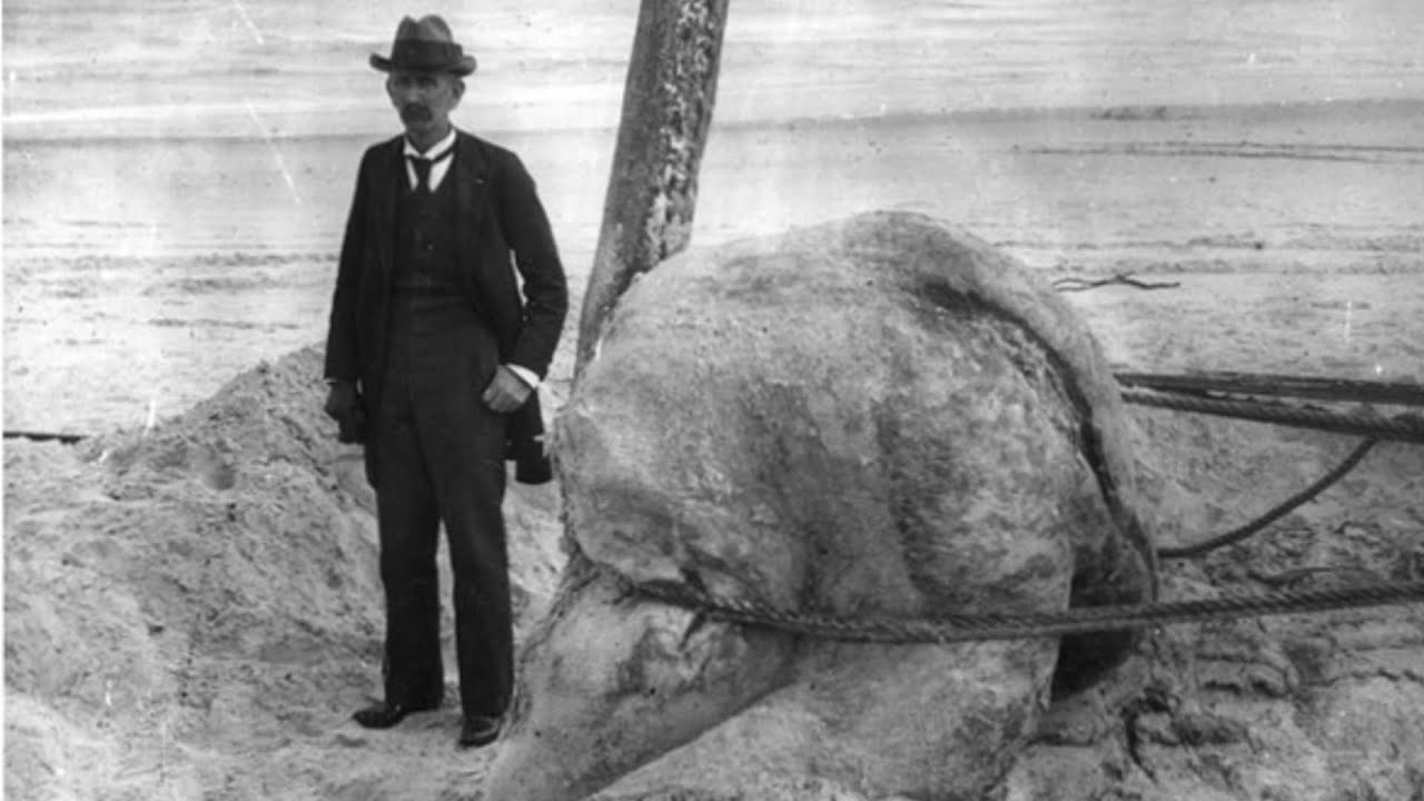 3 True Extremely Weird Oceanic Historical Stories That'll Creep You Out ...