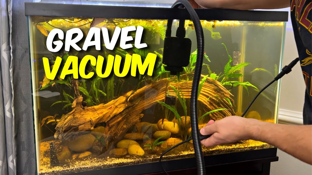 AQQA Electric Aquarium Gravel Vacuum Review & Demo - YouTube