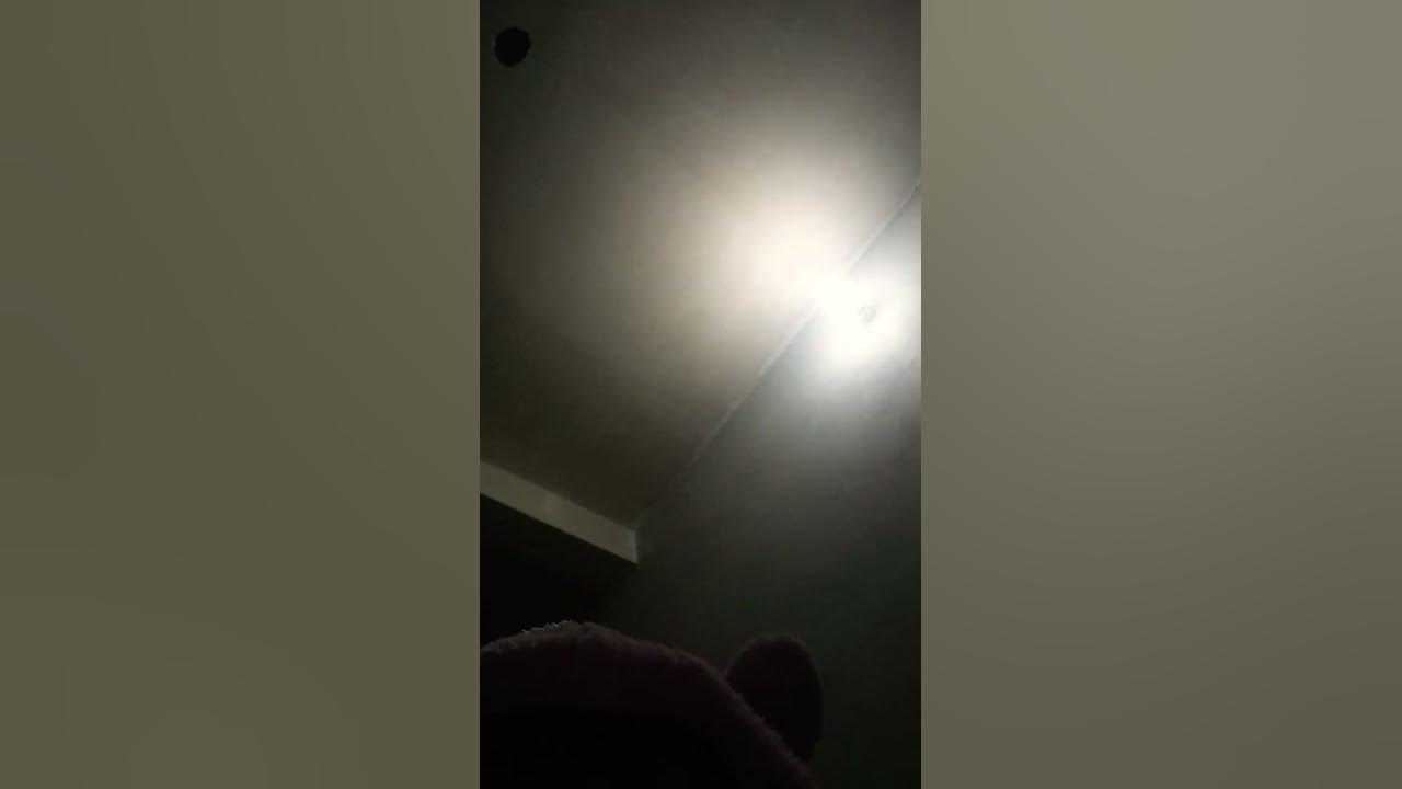 7 January 2025 - YouTube