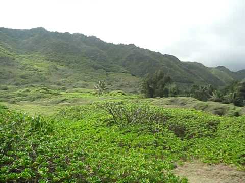 Halawa Beach Park - the beach with two beaches - YouTube