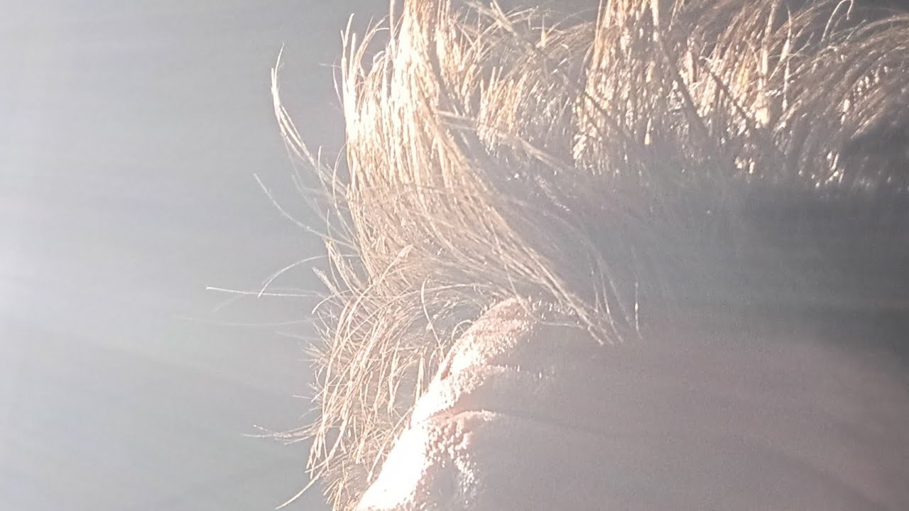 JoE G. is afternoon Cafe y Nic... - YouTube