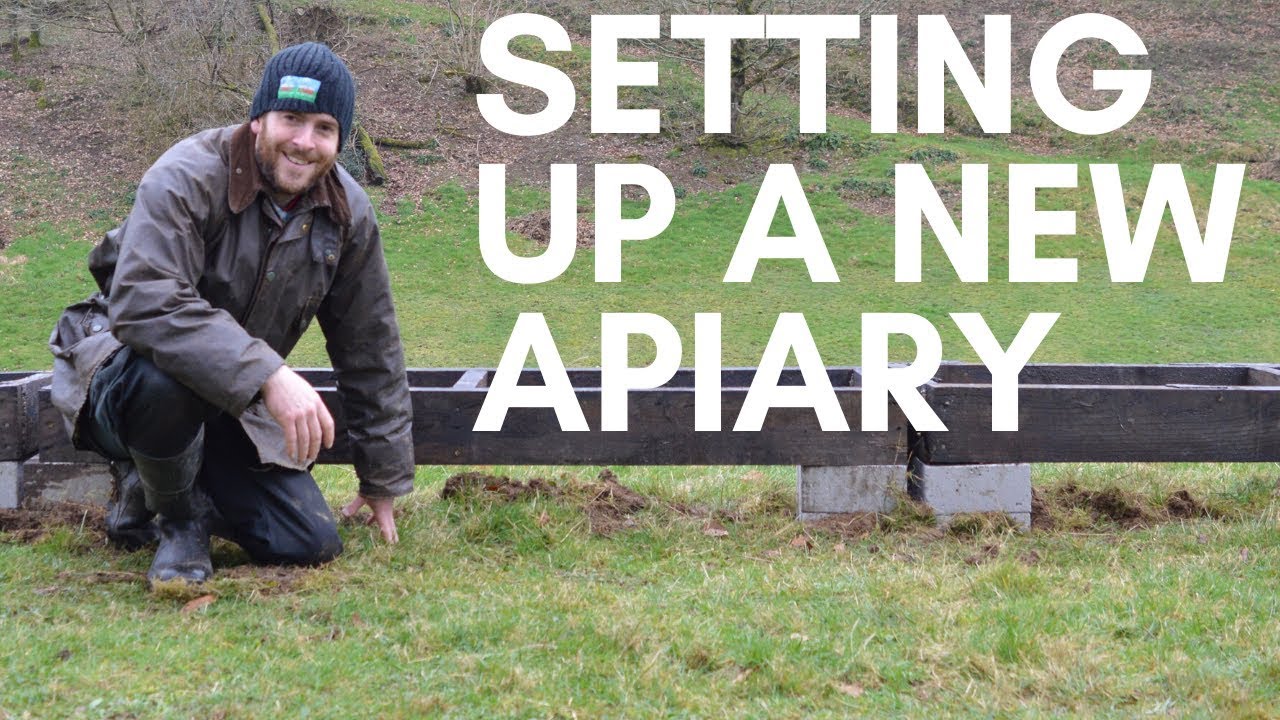 Setting up a new apiary - YouTube