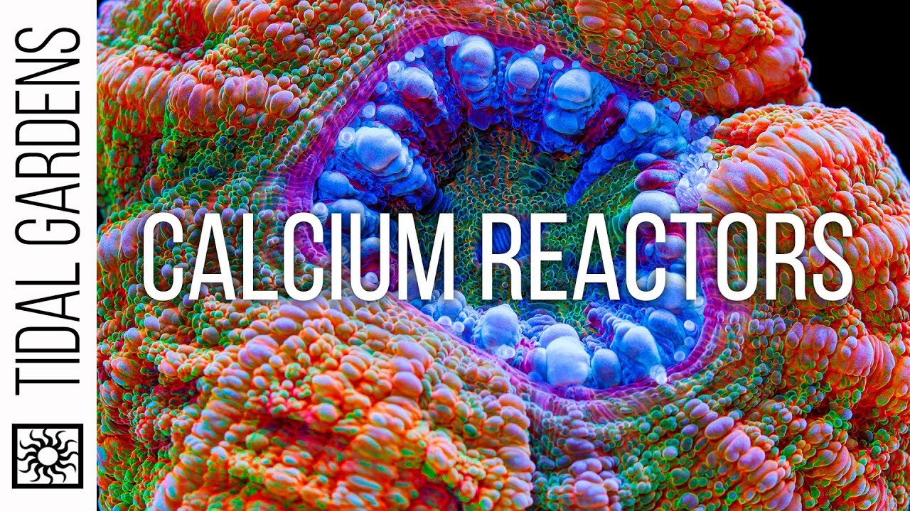 Calcium Reactors Explained - YouTube