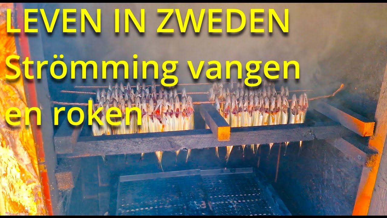 LEVEN IN ZWEDEN strömming vangen en roken - YouTube