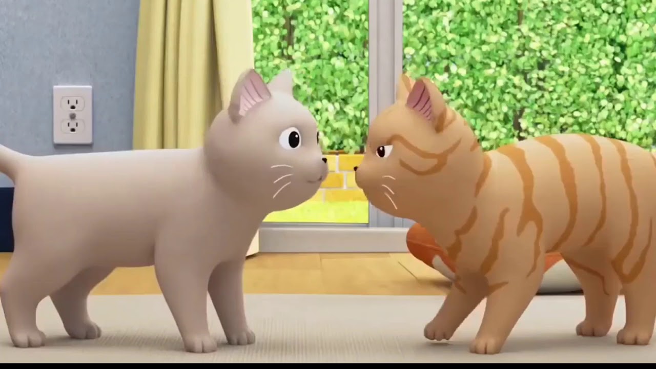 KUCING LUCU || FILM ANIMASI KUCING || KUCING BISA BICARA - YouTube