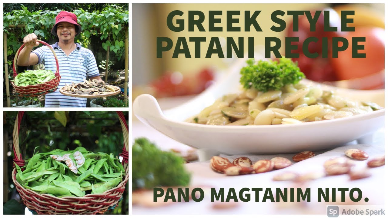 🆕patani Recipes Greek Style And How To Grow Lima Beans Lima Beans ...