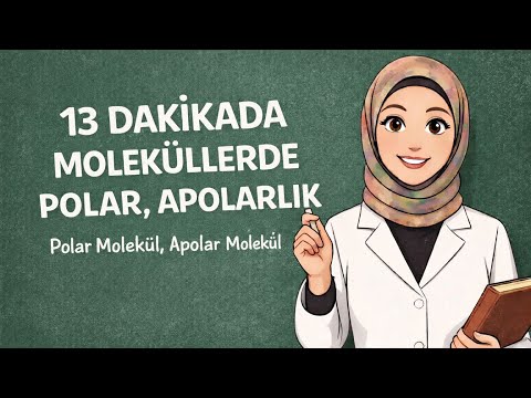 Moleküllerde Polar & Apolarlık | En Net Anlatım