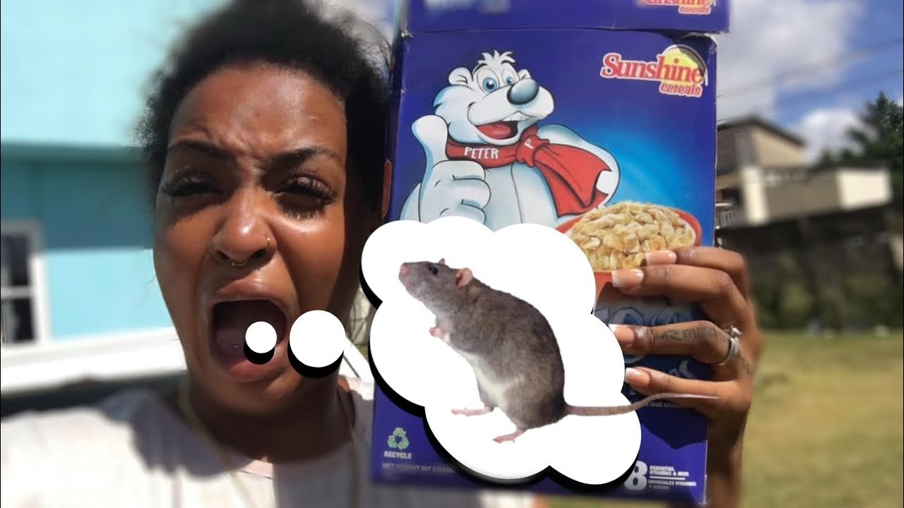 There a RAT in the cereal prank on Jillany 😂 - YouTube