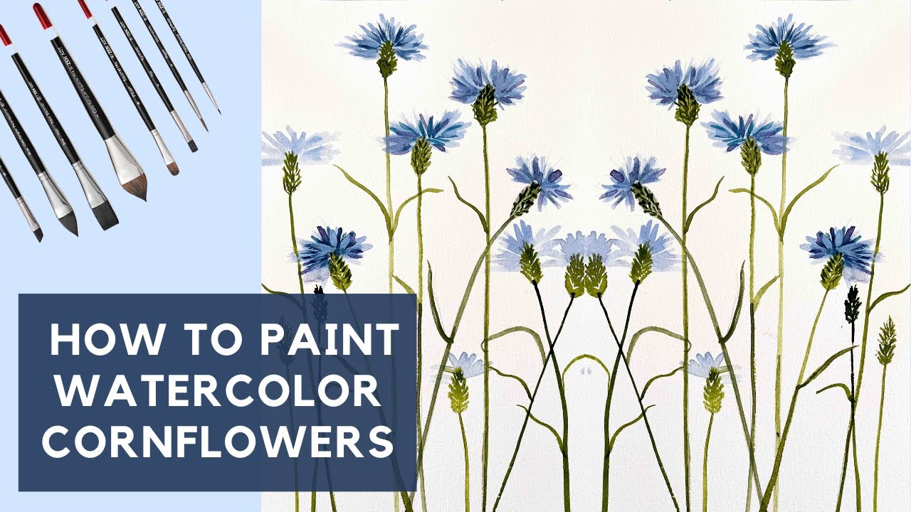 How To Paint Watercolor Cornflowers Easy | Cornflower Painting Tutorial ...