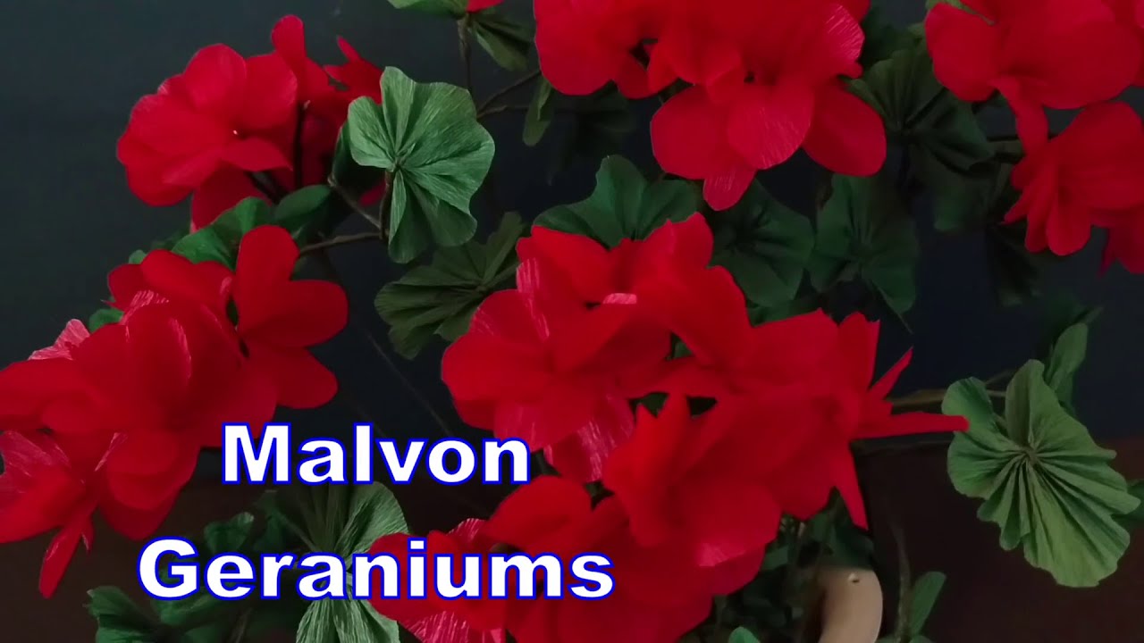 Geraniums Paper Craft / Malvon de Papel Crepe / ゼラニウム - YouTube