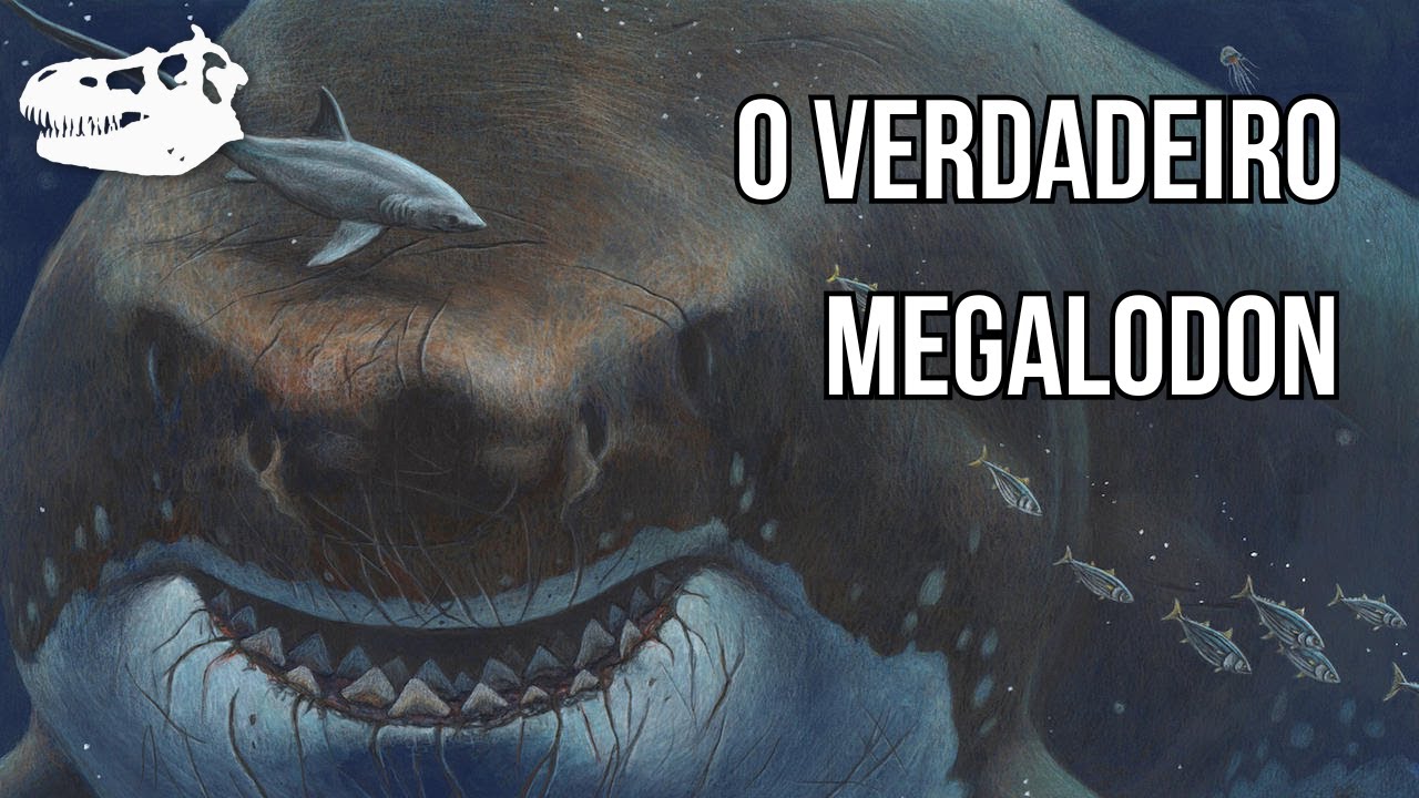 COMO ERA O VERDADEIRO MEGALODON? | Corte da Live - YouTube