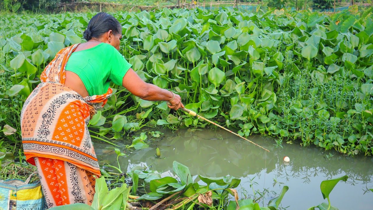 Awesome fishing video 🐟 || By a Wonderful old grandma fishing catching ...