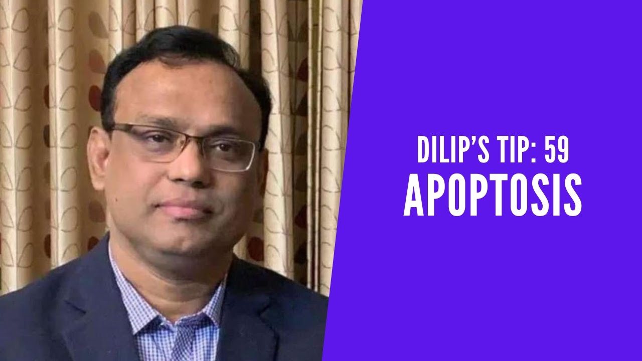Dilip's Tip 59: Apoptosis (VIT) - YouTube