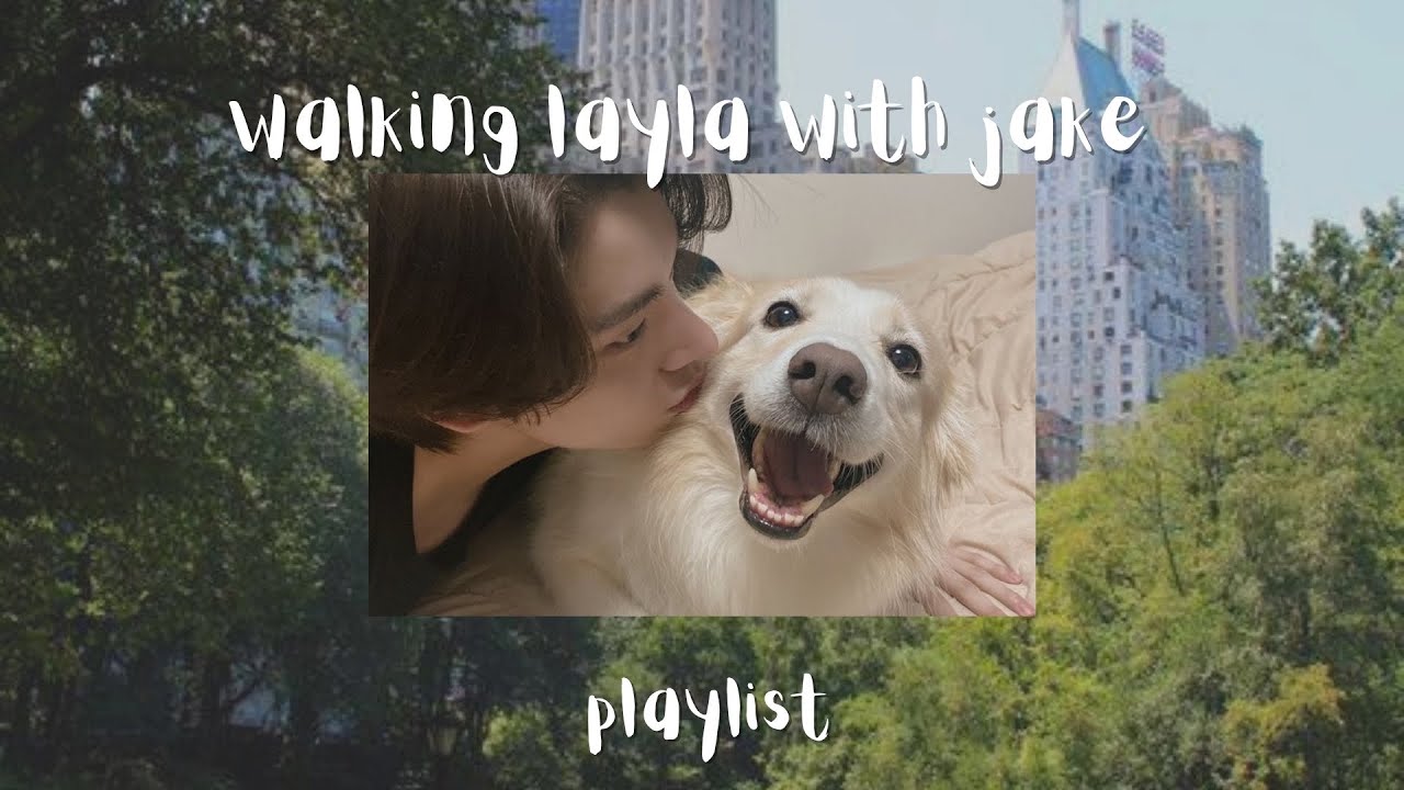 walking Layla with Jake playlist - YouTube