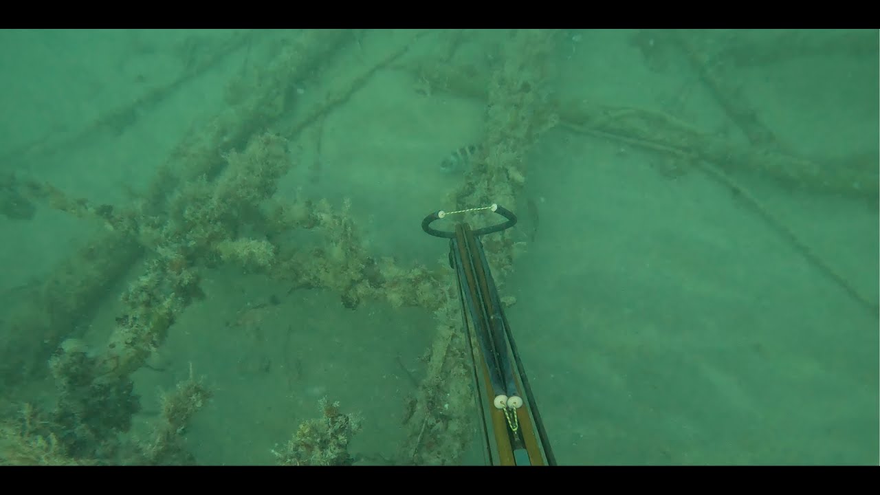 Shallow Wreck Dive - YouTube