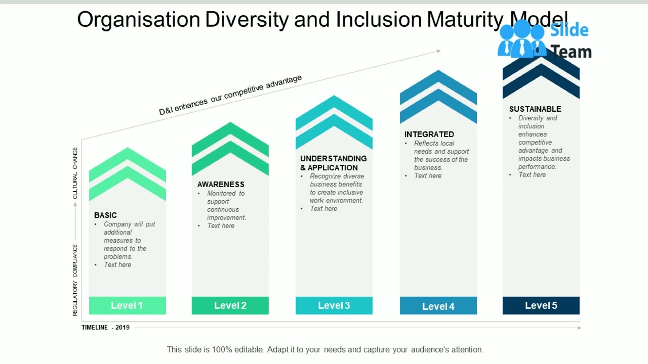 Organisation Diversity And Inclusion Maturity Model - YouTube