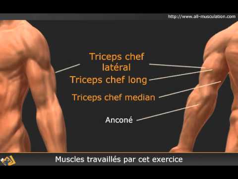 Barre au front avec poids de corps (exo de triceps) - YouTube