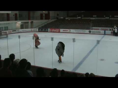 What Is The Risd Mascot