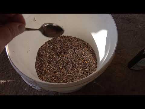 Cuce inkişafinin esas sirri