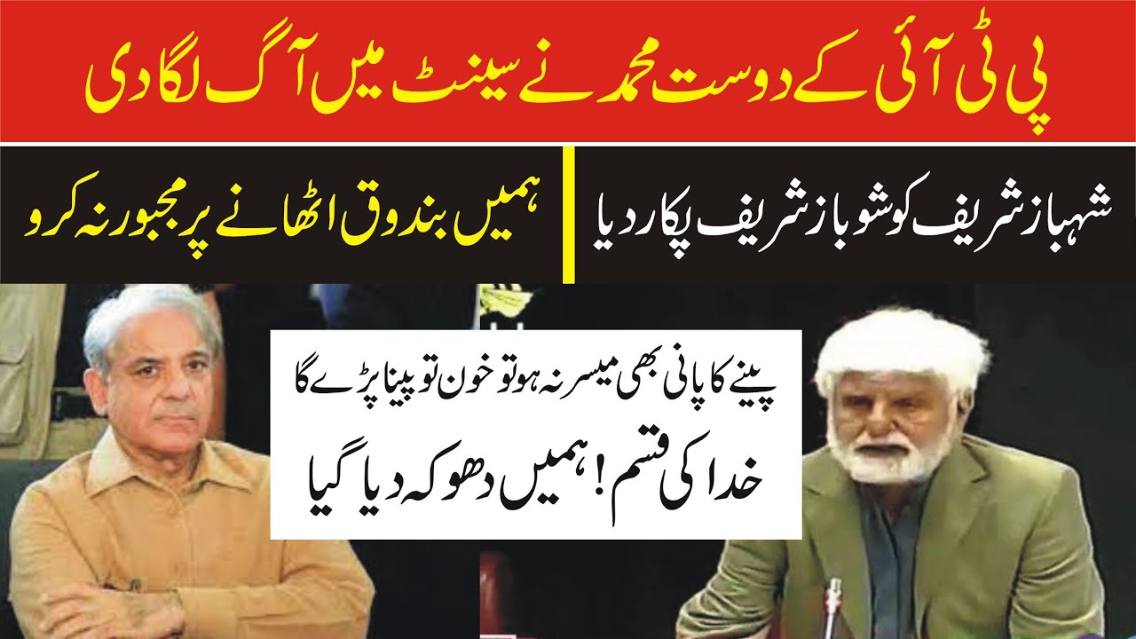 PTI Dost Muhammad Khan Sensational & Emotional Speech In Senate Budget ...