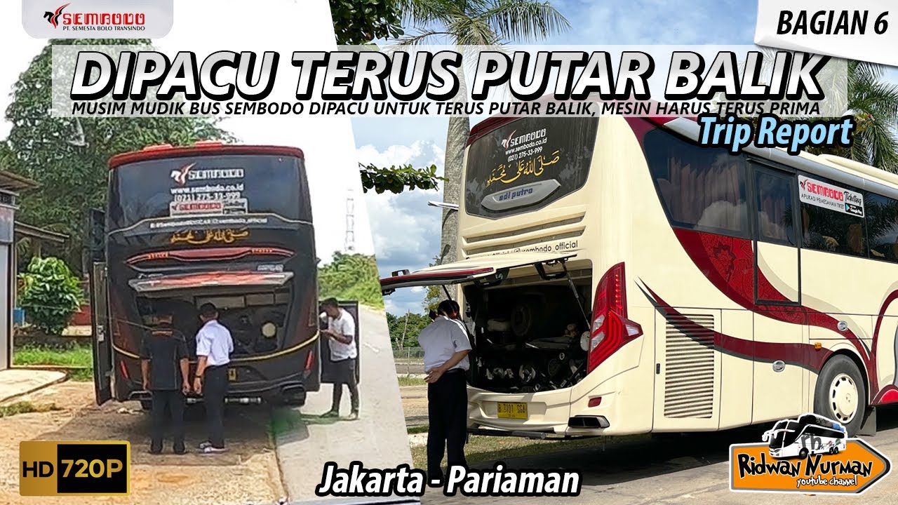 NAIK BUS SEMBODO EXECUTIVE PLUS 26 SEAT DIPACU TERUS PUTAR BALIK I ...