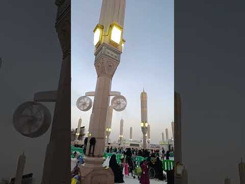 23sene sonra hasret damlalari