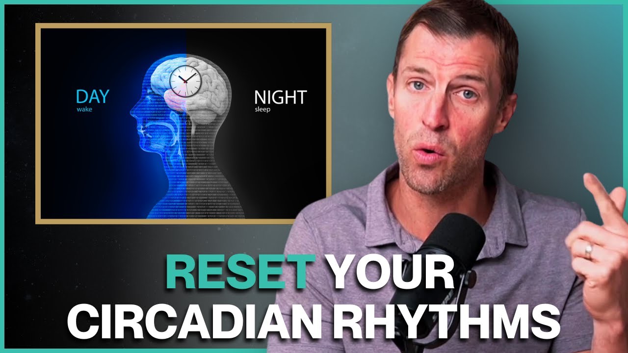 How to Reset Your Circadian Rhythms to 10X Your Sleep (Chinese Body ...