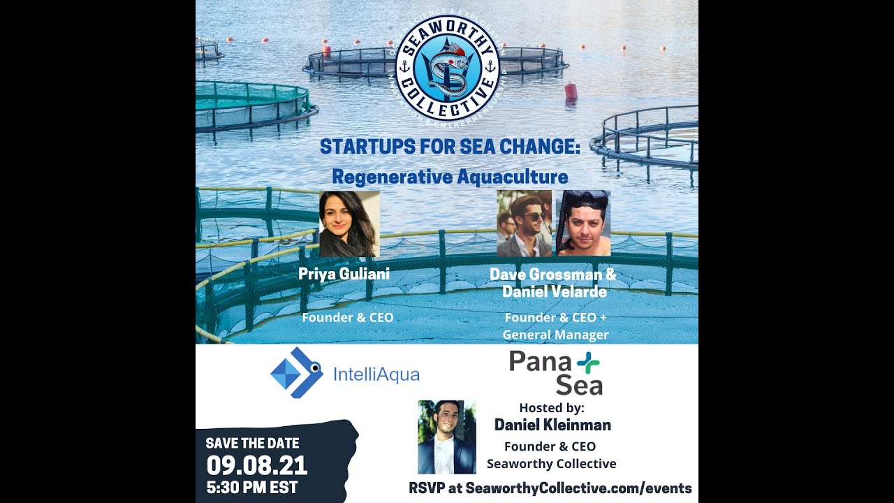 Startups for Sea Change: Regenerative Aquaculture - YouTube