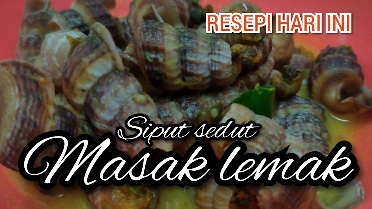RESEPI HARI INI | SIPUT SEDUT MASAK LEMAK | dah lama tak pekena siput ...