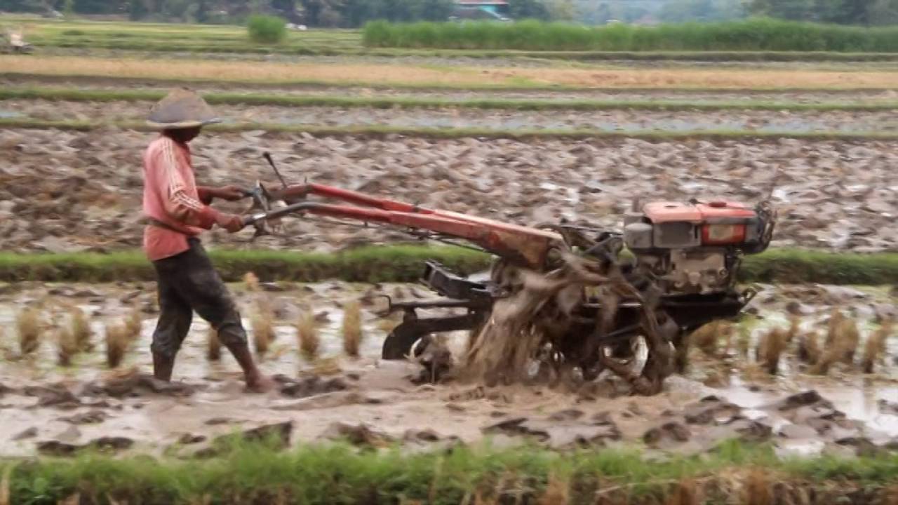 Tractor Plow Rice Fields - YouTube