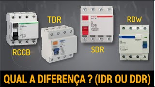 VOCÊ SABE QUEM É IDR E QUEM É DDR? | Doovi