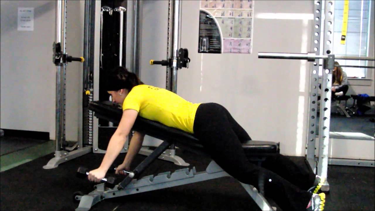 Reverse Flies On Bench - YouTube