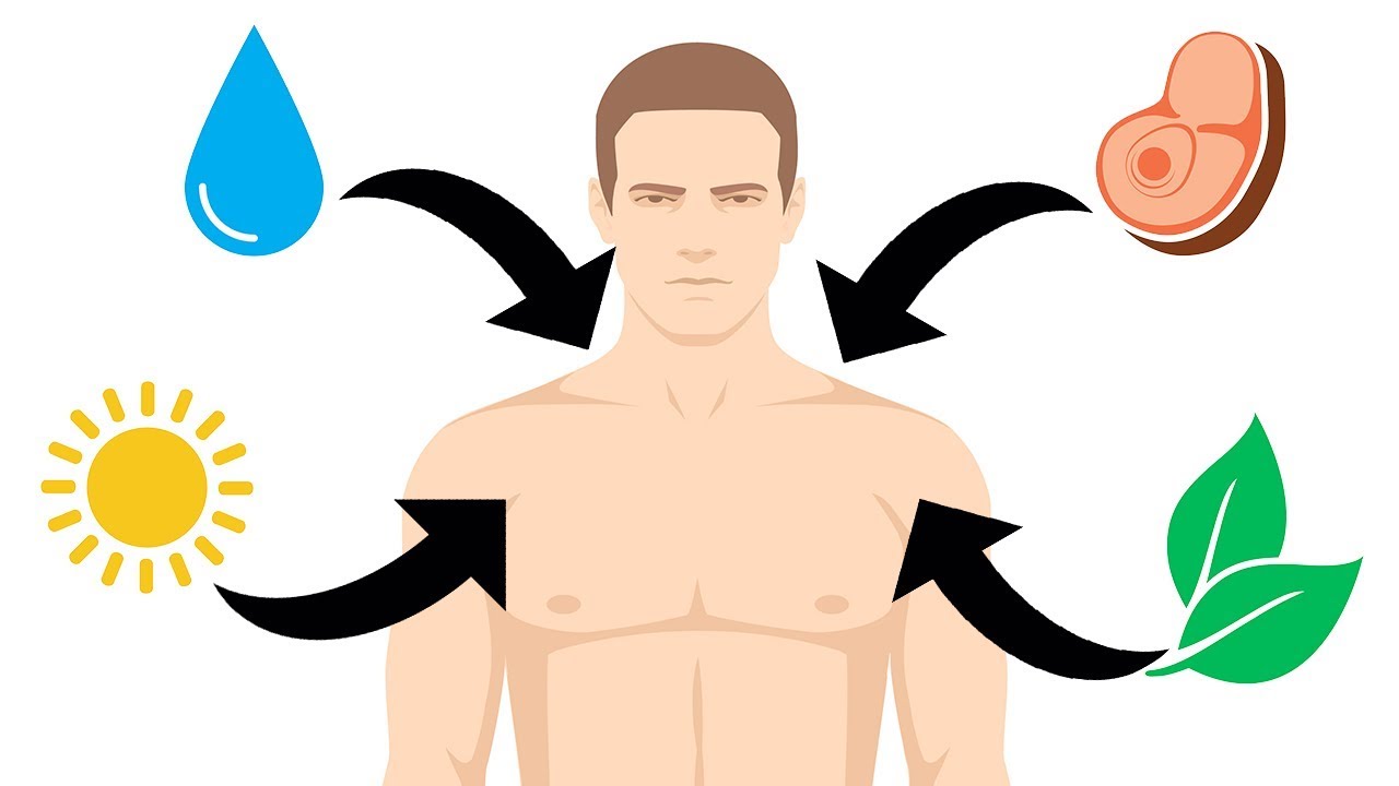 5 Useful Elements Our Bodies Often Lack and How We Can Get Them - YouTube