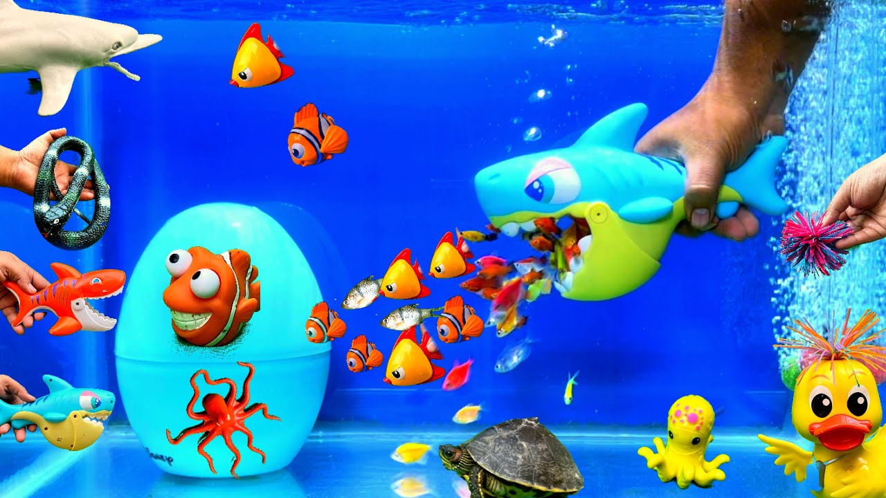 Srpries Egg, Little Fishes, Sea Animal Toys, Alligator, Snake, Fish Toy ...