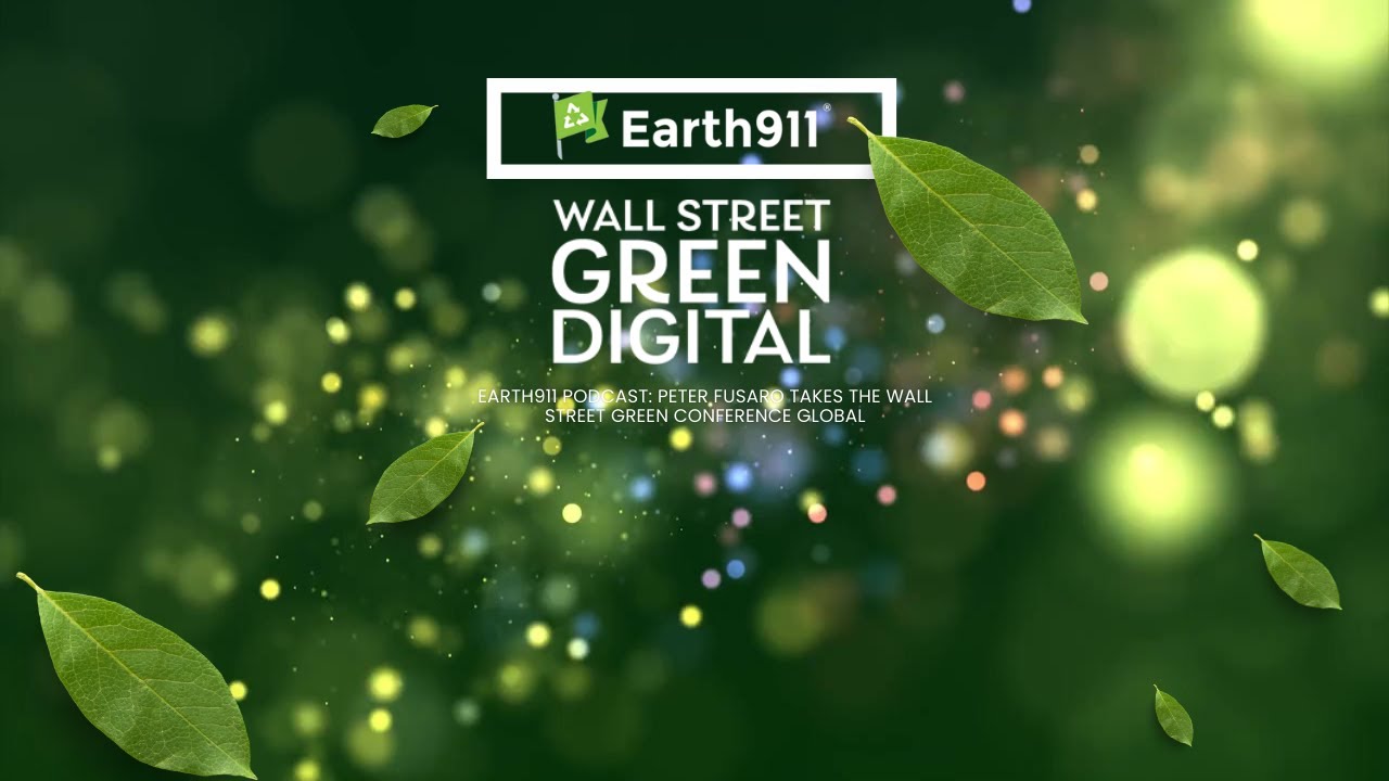 Peter Fusaro on the Globalization of The Green Economy: Is the US up to ...