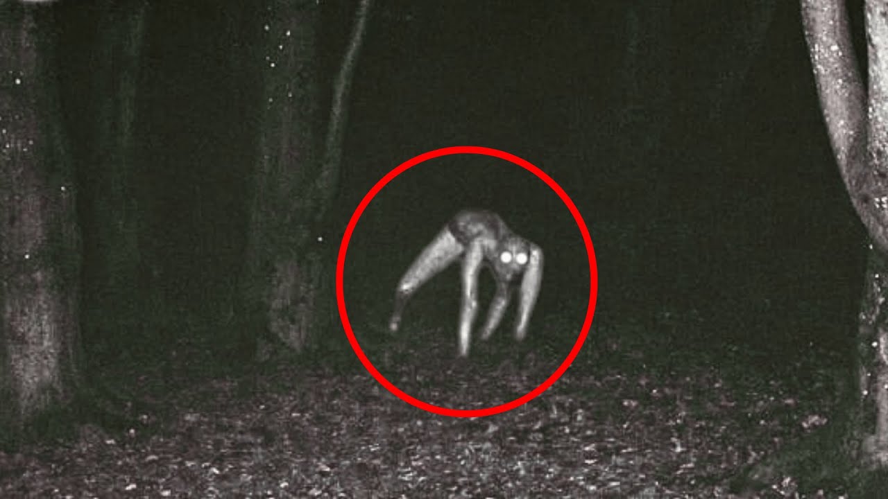 SCARIEST Camping Encounters Caught In Appalachian Mountains | SCARY ...