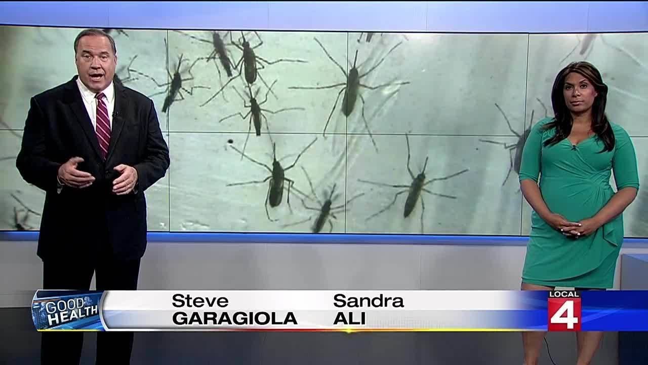 Local 4 News at 11 - July 10, 2016 - YouTube