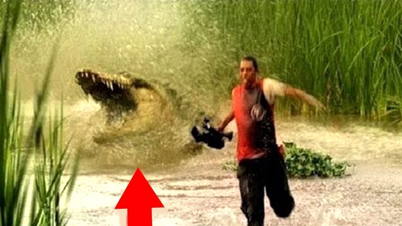 Top 5 Surprising and Shocking Fishing Moment Caught On Camera - YouTube