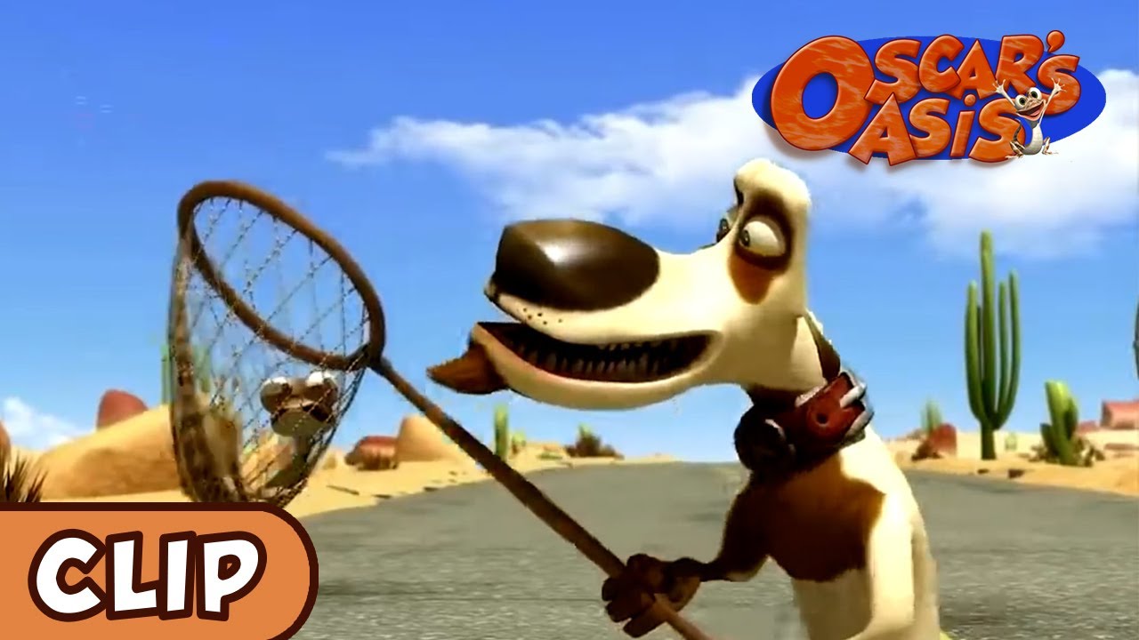 Oscar's Oasis - A Dog's Life | HQ | Funny Cartoons - YouTube