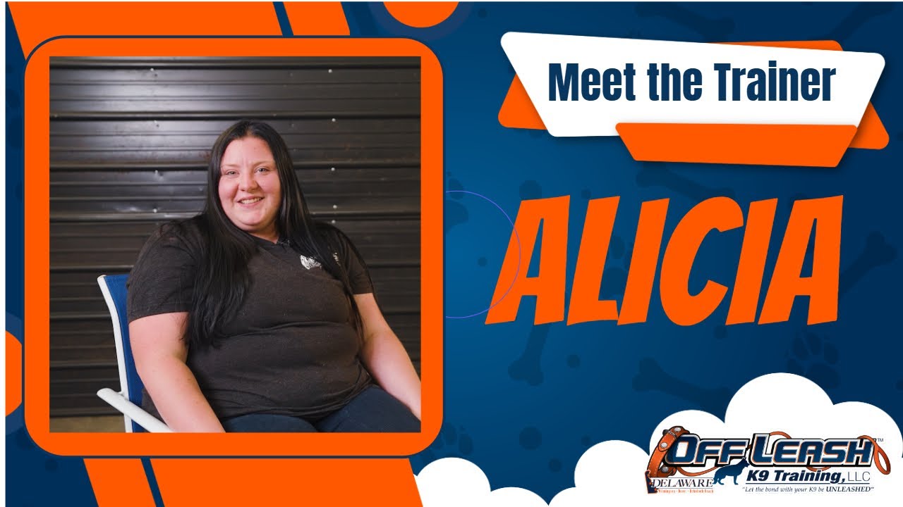 Meet Alicia I Meet the Trainers I Off Leash K9 Training Delaware - YouTube
