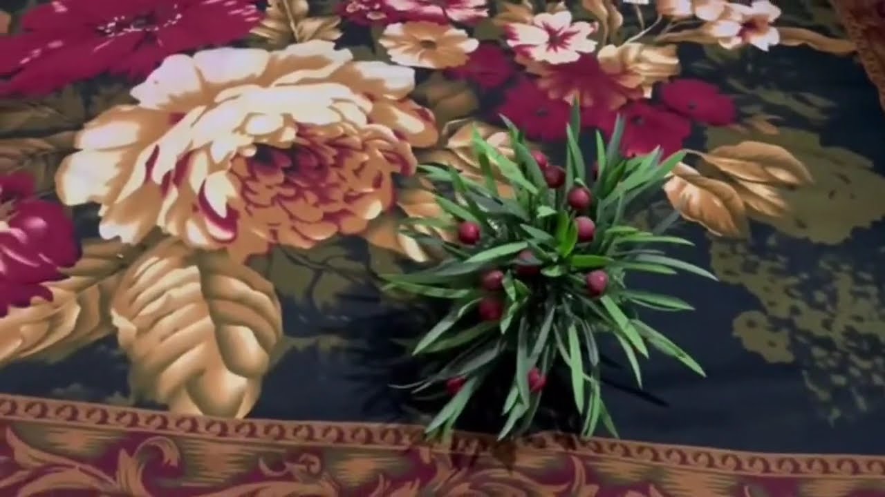 Portrait Video Nanny Canon EosR5 RF85f1.2L DS - YouTube