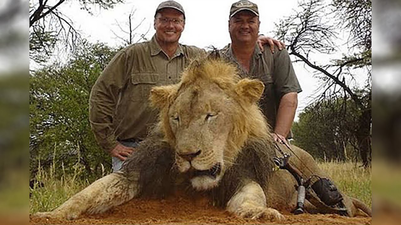 10 Hunting Photos That Sparked Outrage - YouTube