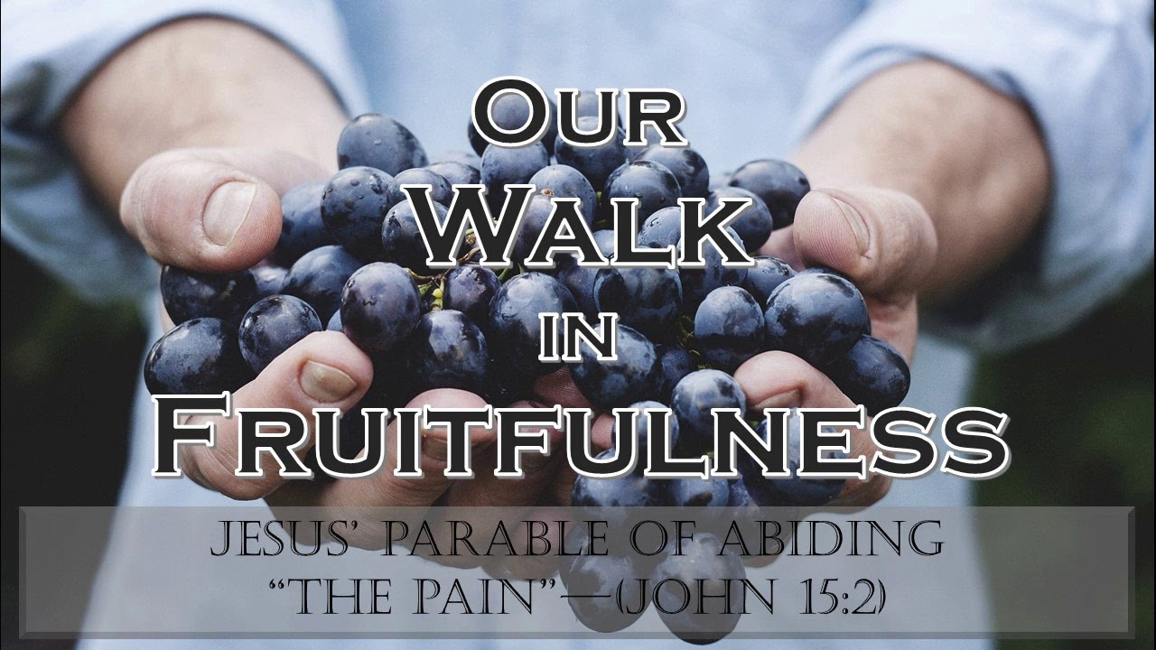 “Our Walk in Fruitfulness” (Part 2) – John 15:2 - John 15:2 - Bible Portal