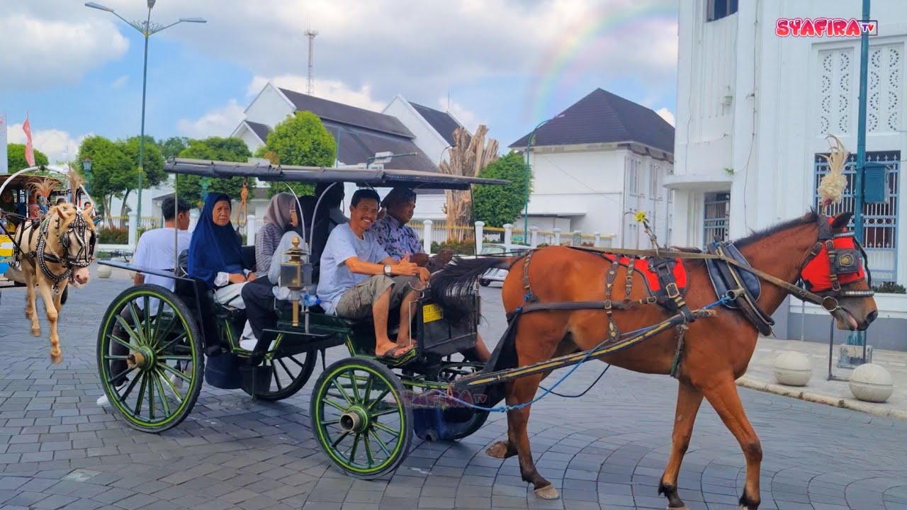 Naik Kuda Delman Keraton 🔴 Kuda BKT 🔴 Kuda Cikunir 🔴 Lagu Kuda Delman 🔴 ...