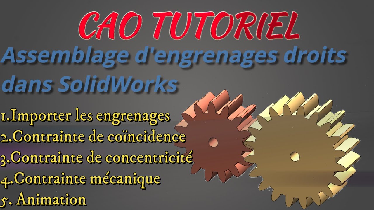 Assemblage d'engrenages droits dans SolidWorks |Contrainte d'engrenage ...