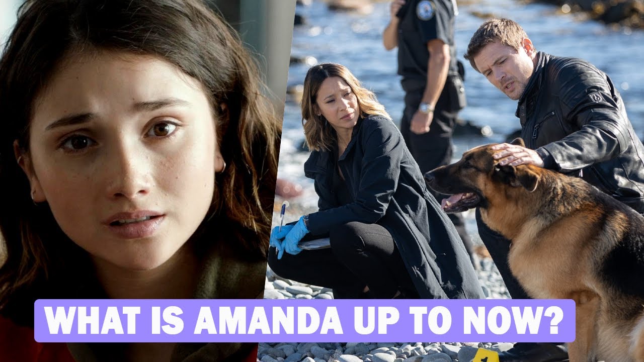 Hudson & Rex: Where is Amanda Arcuri Now? Her Relationship Update - YouTube