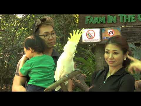 Hanif Miswan&Sofea Nursolehha Tun di Farm In The City - YouTube
