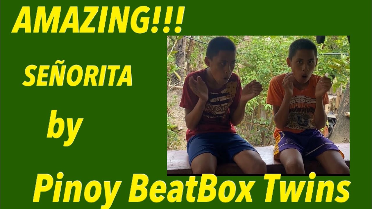 Amazing!!! Pinoy Beatbox Twins perform Señorita - YouTube